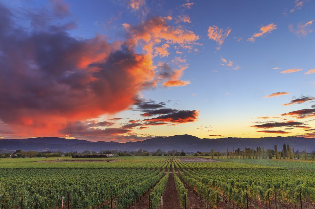 Wine Inspired Vacations - redtag.ca Blog